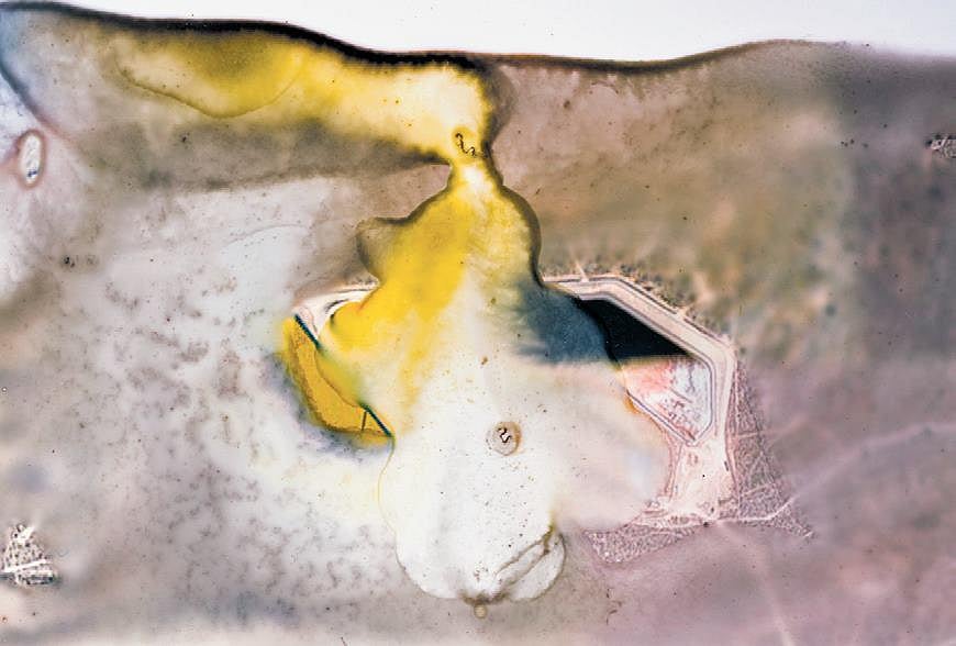 an art form that radically altered thought and aesthetics through the ...