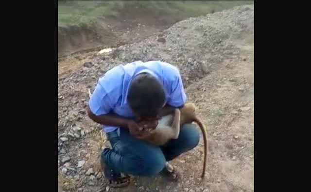 Tamil Nadu: Perambalur man resuscitates wounded monkey, video goes viral