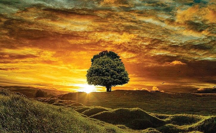 If you hurt nature, you are hurting yourself