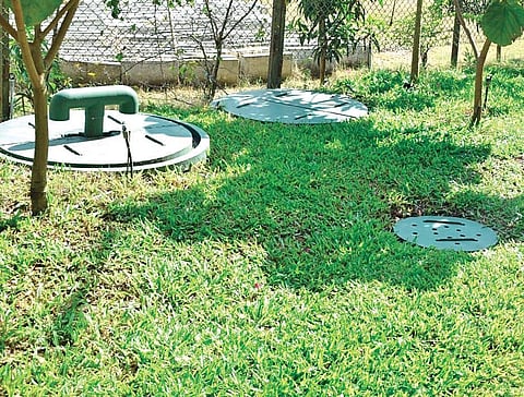 Harvesting the bounty, uniquely