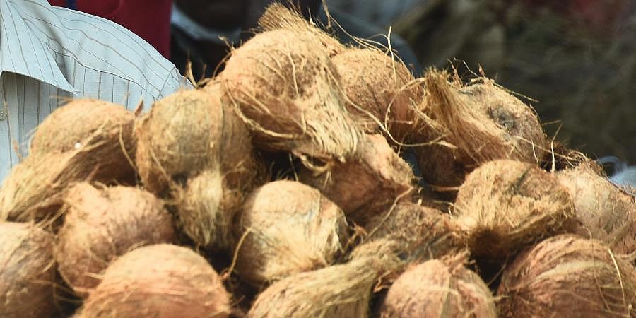 K’giri farmers hail GI tag proposal for panneer rose and Arasampatti ...