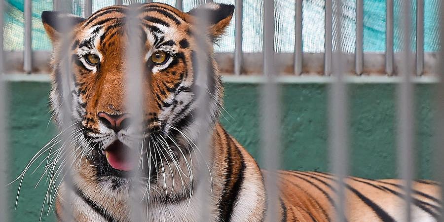 Mumbai's famed Byculla Zoo to reopen from February 15