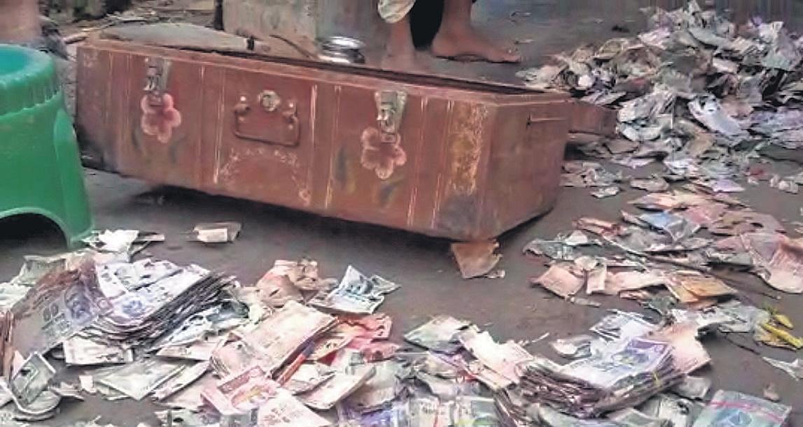 Termites devour pig-rearer’s lifetime savings of Rs 5 lakh