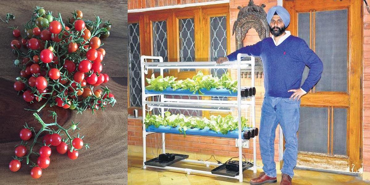 Farmed to tables: How to grow your own vegetables with hydroponic set-up