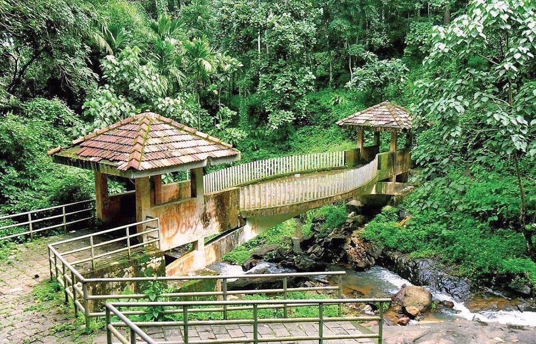 Toddy shops in Pampakuda miss the buzz of rubber workers