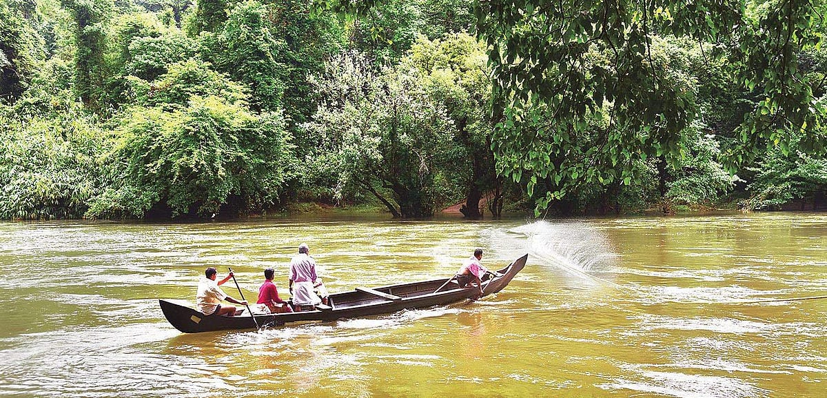 Tribal village tourism at Kuttampuzha on the cards