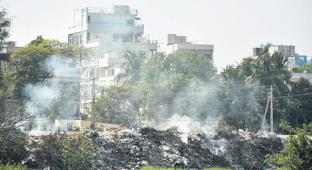 Polluted Budameru Canal causes misery to residents