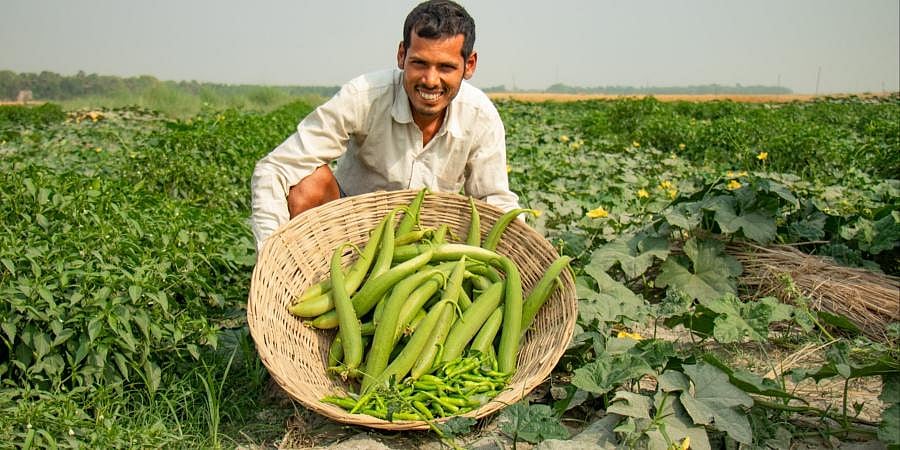 Bihar government launches home delivery of vegetables in Patna ...