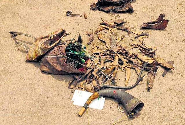 Forest dept steps up vigil to keep an eye on poachers, timber smugglers