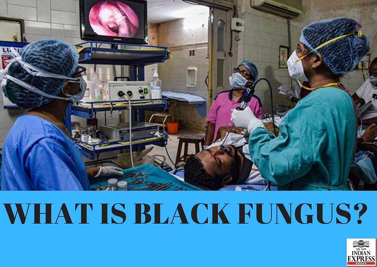 What is 'deadly' Black Fungus disease and why COVID-19 patients should ...