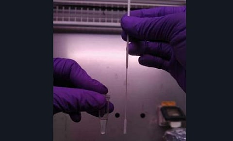 CCMB’s dry swab test cheaper, results akin to RT-PCR tests: Scientists