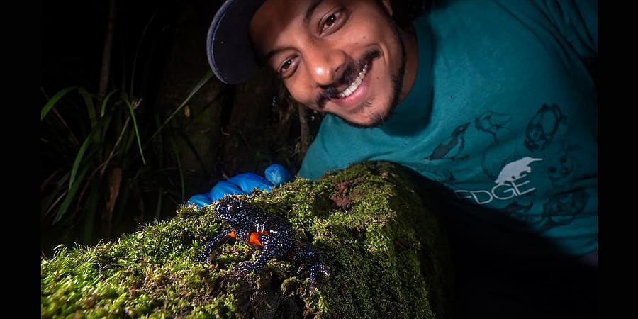 Galaxy frog declared flagship species