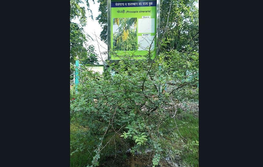 Bharat Vatika: Uttarakhand develops biodiversity garden with state ...