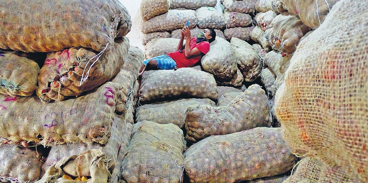 Centre creates online portal to collect real-time govt, private ...