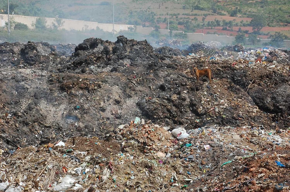 Menstrual waste disposal adding to India's environmental crisis: Study