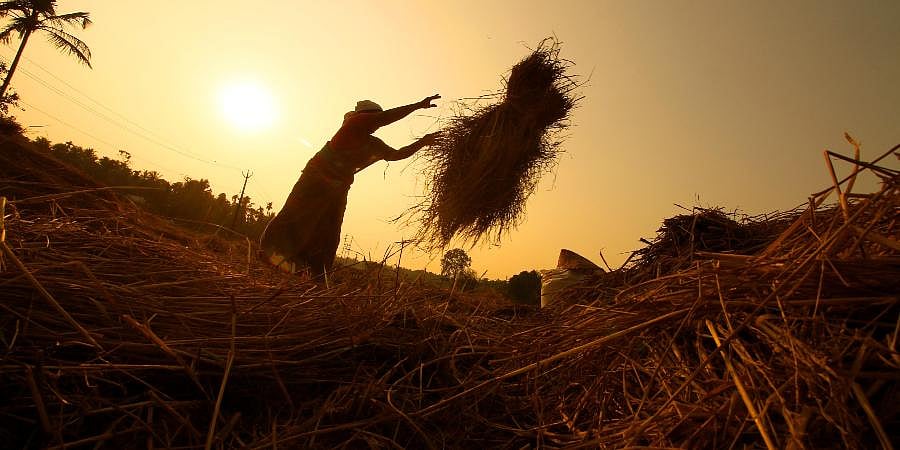 ‘Fake farmers’ in Odisha caught by remote sensing app