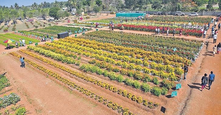 Kerala demands inclusion in horticulture cluster scheme