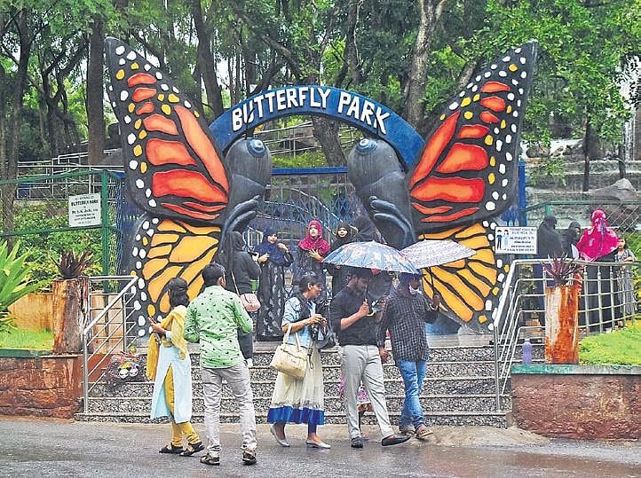 2,536 visitors on first day as Hyderabad zoo reopens after 70 days