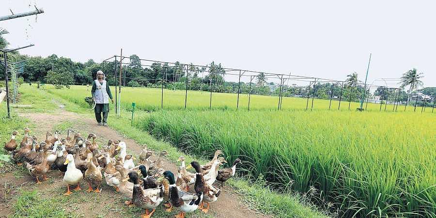 'Human and animal health interlinked': Seminar seeks 'One Health ...