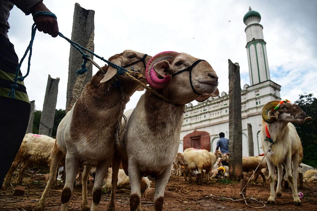 Flying squad to keep eye on slaughter violations amidst Bengaluru ...