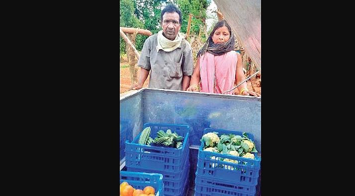 ‘Sabji coolers’ in backyards, Koraput farmers breathe sigh of relief
