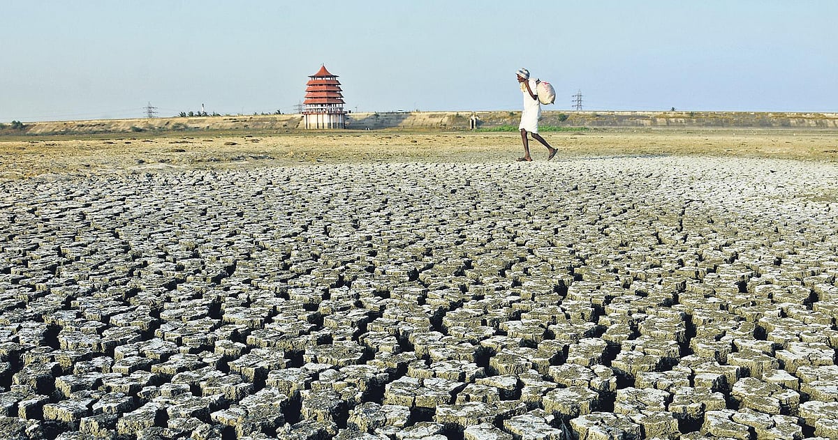 Tamil Nadu gets into mission mode to tackle climate change