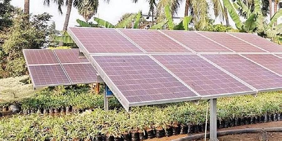 Andhra Pradesh gets 106 MW renewable power units in first 4 months of ...
