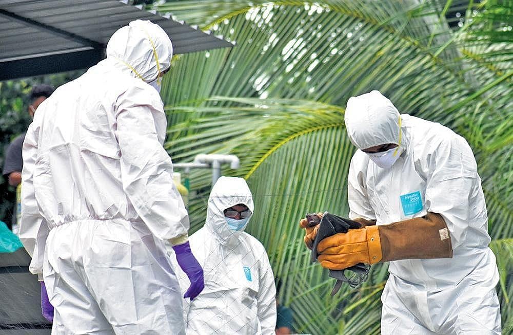 Nipah virus: First samples of animals test negative, strict action ...