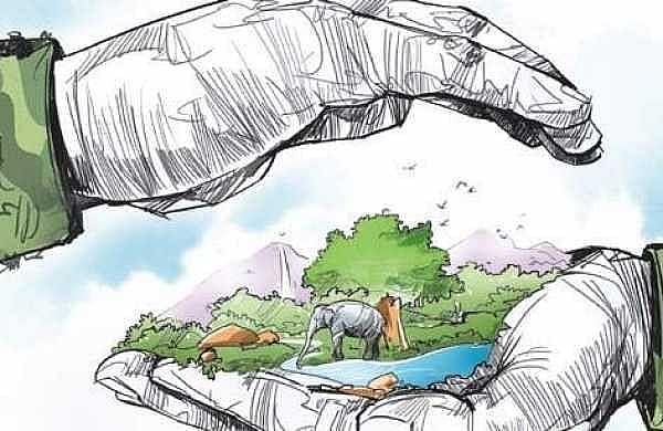 AP: Forest officials step up vigil to curb poaching in Palnadu region