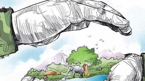 AP: Forest officials step up vigil to curb poaching in Palnadu region