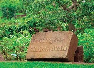 Odisha plans 7 urban forests for greener Bhubaneswar and Cuttack