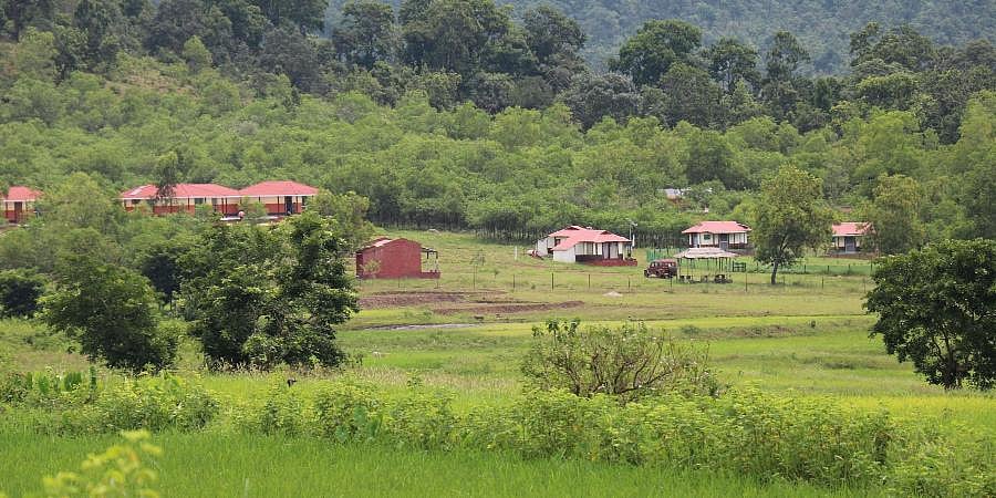 Only 845.7 sq km of Similipal Tiger Reserve accorded national park status