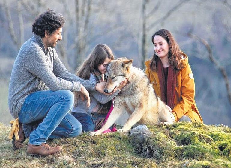 Endearing but Devoid of Conflicts