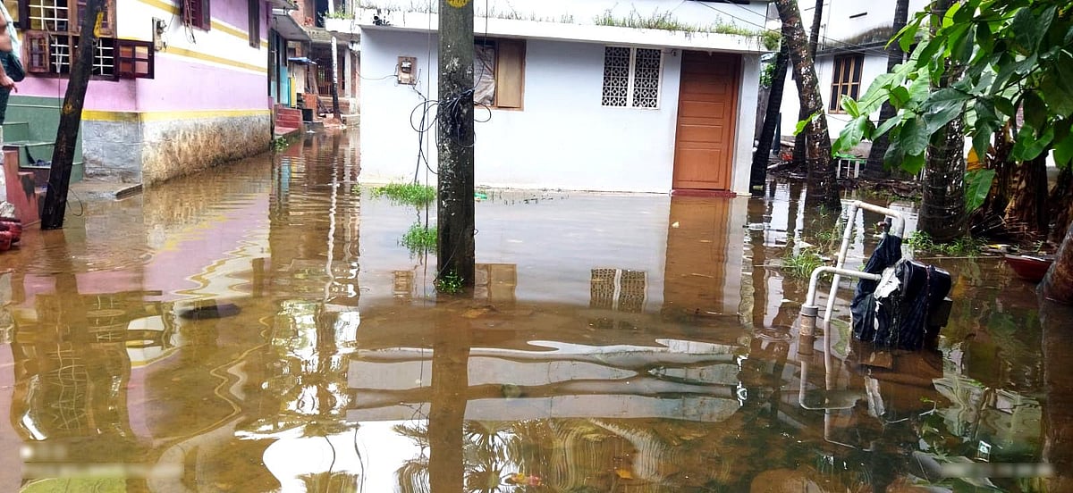Stagnant water poses threat to lives at Pulluvila