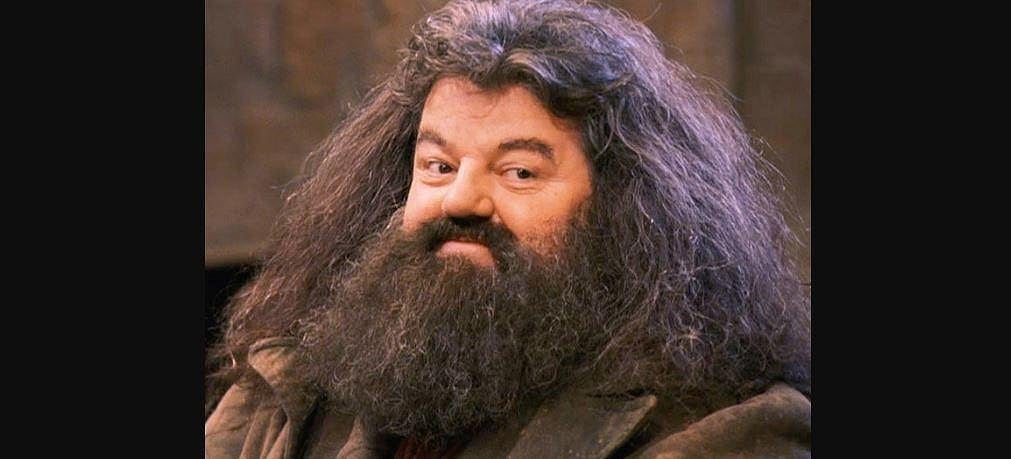 'There's no Hogwarts without you Hagrid': Remembering actor Robbie Coltrane