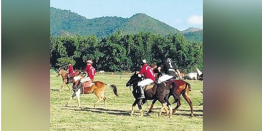 Manipuri pony set to go beyond polo with police