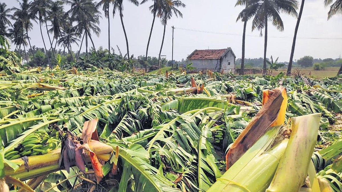 Policies planned to make state climate change resilient