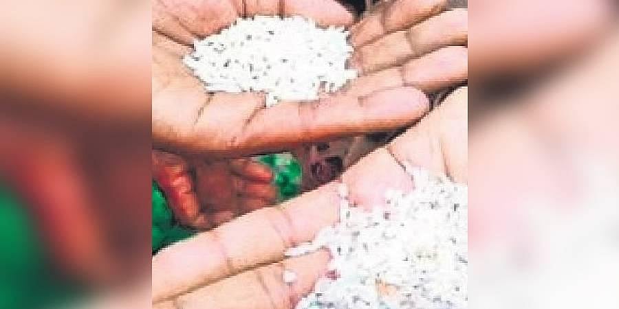 Andhra govt to introduce millets through PDS on line of rice