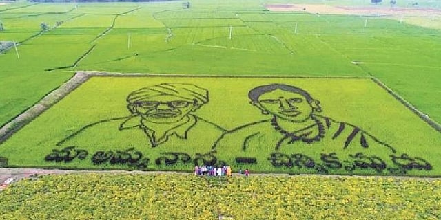 Farmer with a passion for innovative methods in Telangana
