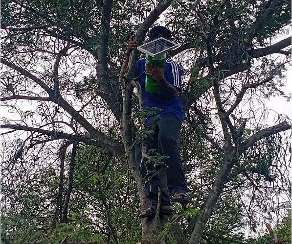 Coimbatore forest dept uses acoustic device to keep elephants at bay