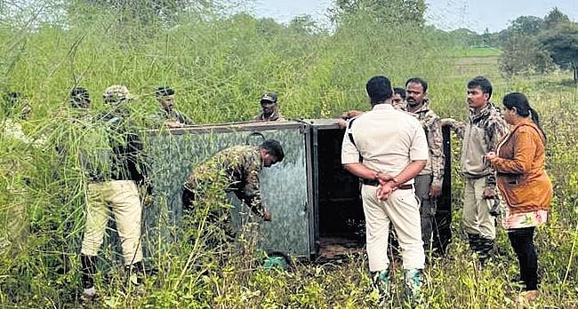 Karnataka foresters launch operation to trace cubs after tigress killed