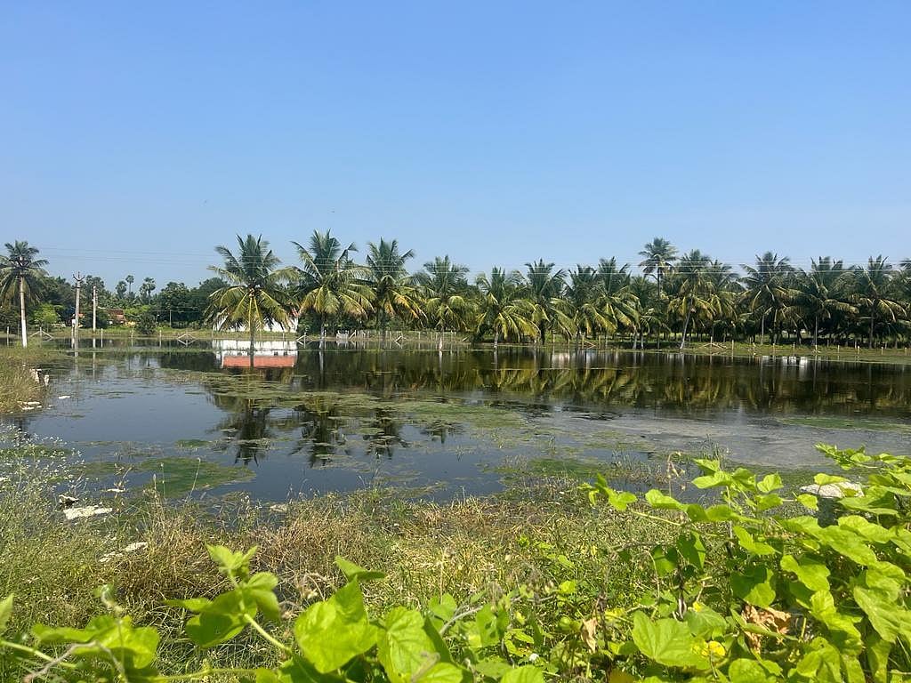 Rainwater yet to drain in Vellakoil, residents worried