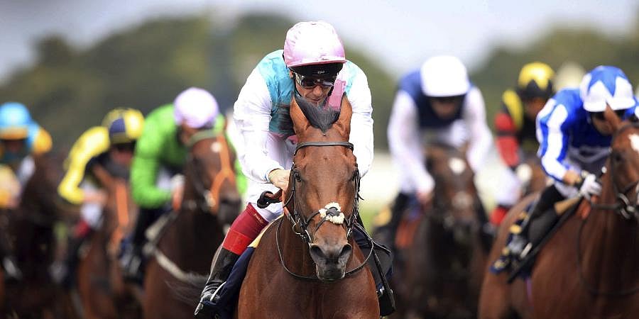 Experience turf racing, live