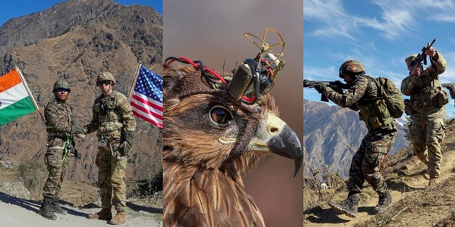 PHOTOS | Indo-US joint military exercises in full swing; kites and dogs ...