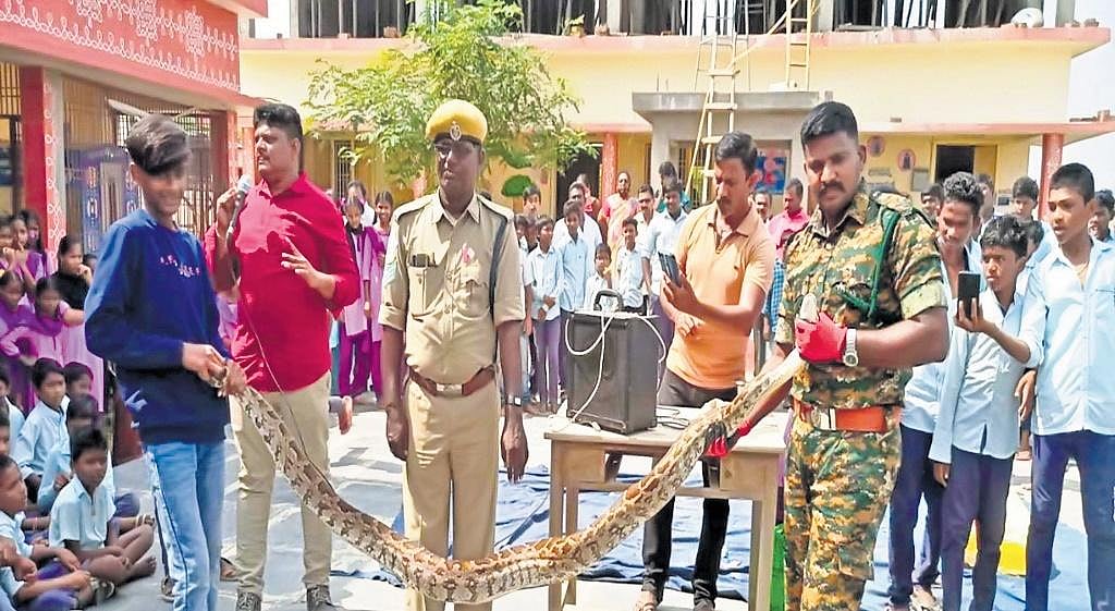 Don’t be afraid, snakes are true friends of farmers: Forest Ranger
