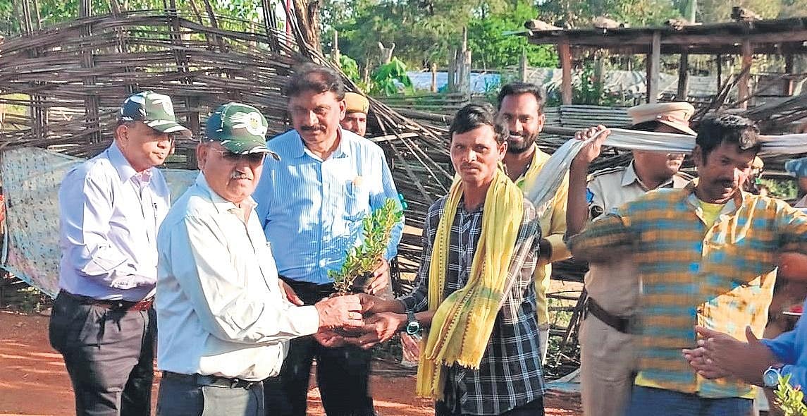 Bio-fencing plants given to tribal farmers in Telangana