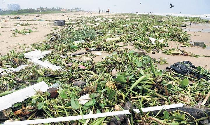 Post cyclone Mandous, Chennai corporation clears 644 tonnes of green waste