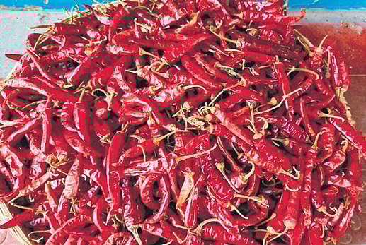 Samba Vathal awaits GI tag endorsement