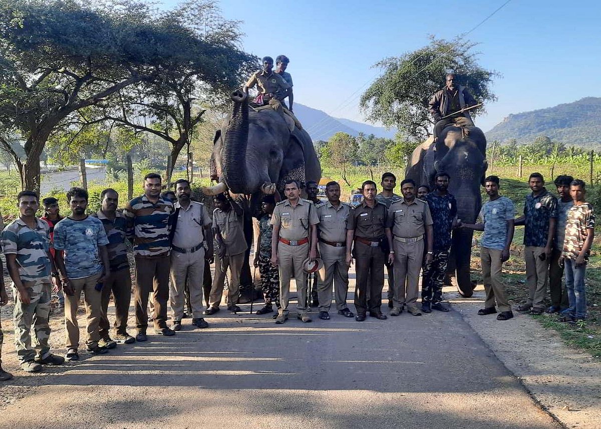 Two Kumkis to drive away lone tusker from villages in Erode