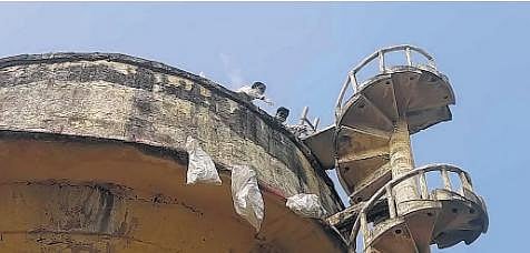 18 monkeys die in abandoned water tank in Karnataka